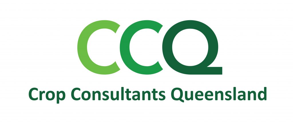 ccq_logo-website-02 – Crop Consultants Queensland